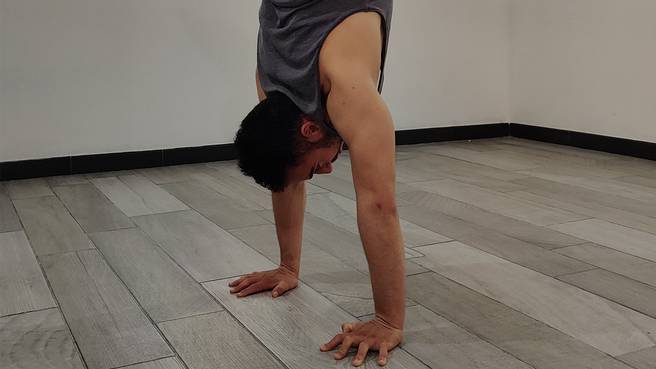 D-NS Studio | Todas tus clases, sin salir de casa